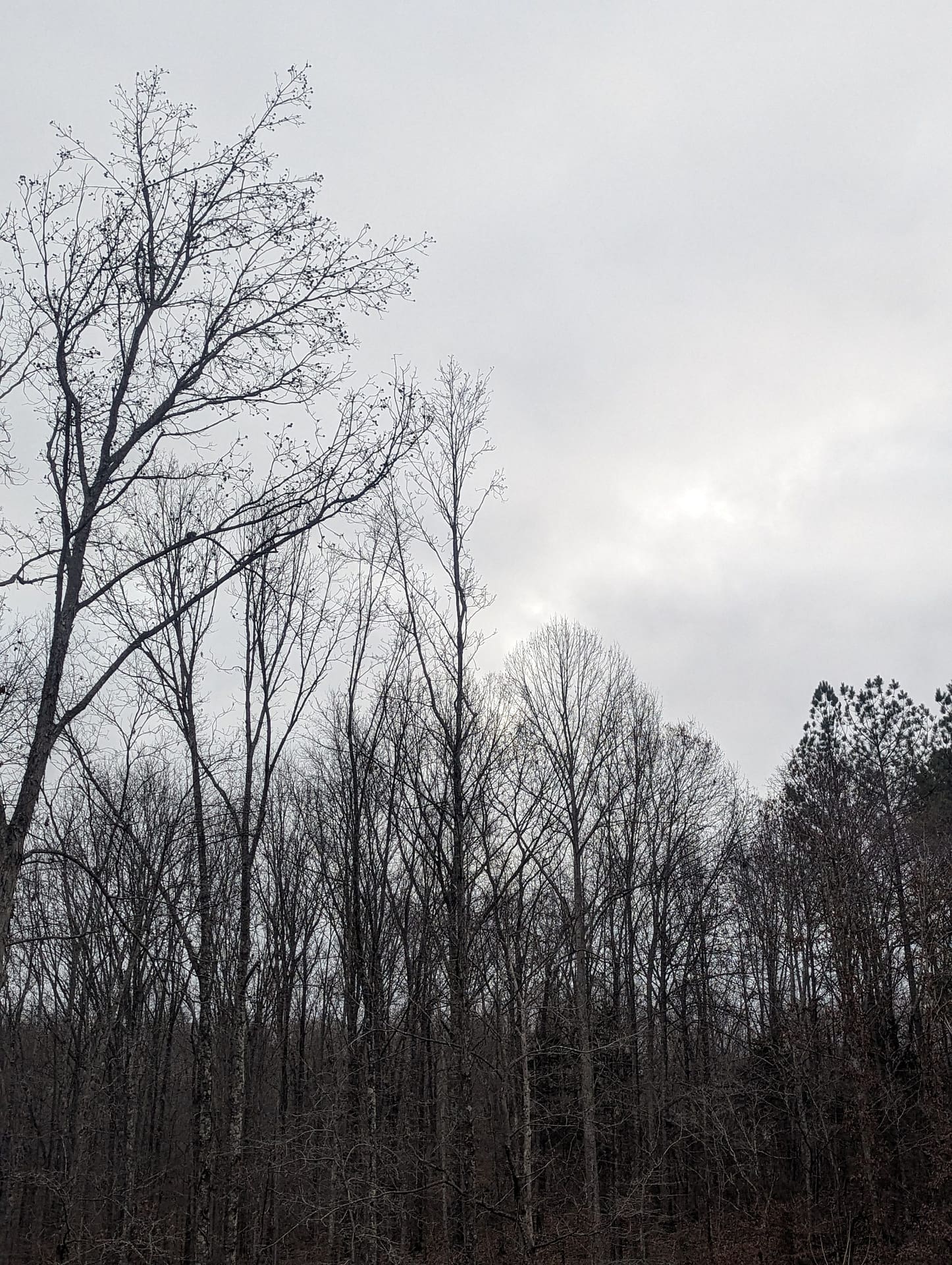 Tuesday, January 2, 2024 | Tanya Baksha