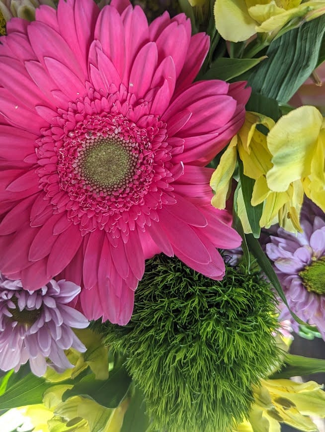 Never Say Never | Tanya Baksha